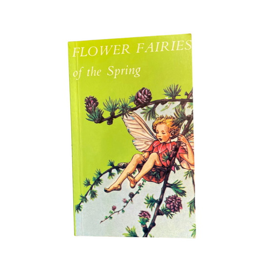 Flower Fairies and the Power of Nature - A nostalgic tribute – Bristol ...